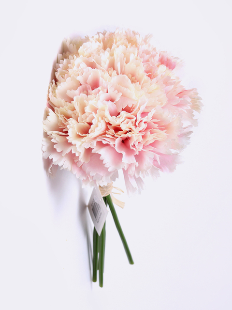 Ramo de Claveles Grande | Tienda Online Candy Craft