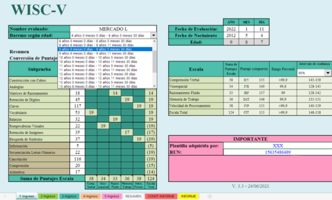 Wisc V Corrección con Software - Comprar en PSICONUBE