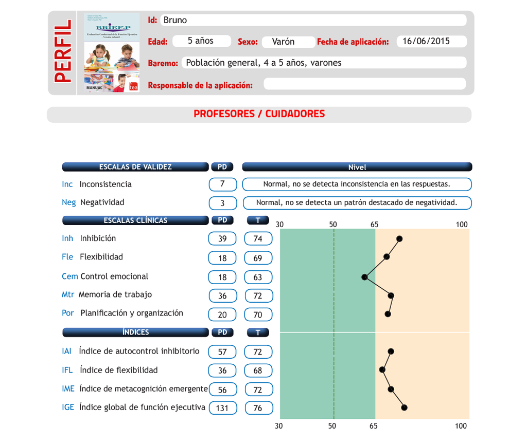 BRIEF P Pin de corrección - kit de corrección brief p Evaluación ...