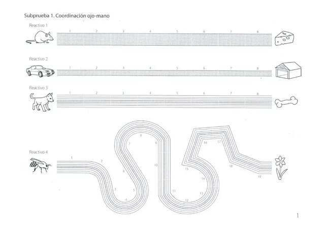 Dtvp 3 Método Evaluación De La Percepción Visual De Frostig Corrección ...