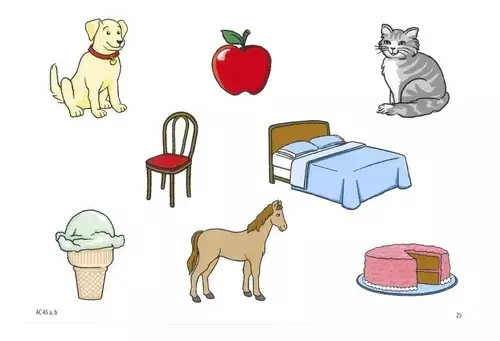 Pls 5 Escala De Lenguaje Para Preescolares 5 edicion