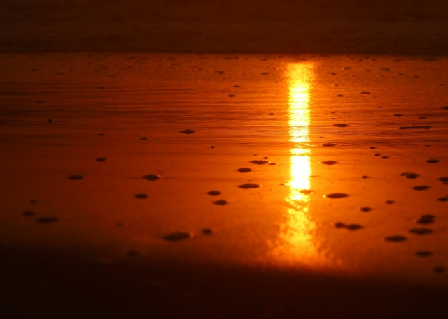 Comprar Mario Passera en PARED