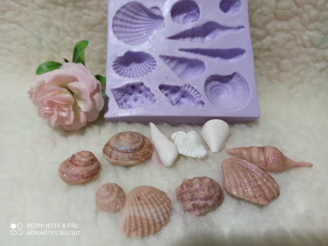 Molde silicone Conchas diversas - Atelier Adriartes