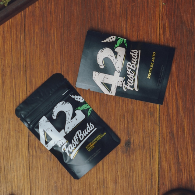 Mimosa Cake Auto - Comprar en Hemp Seeds