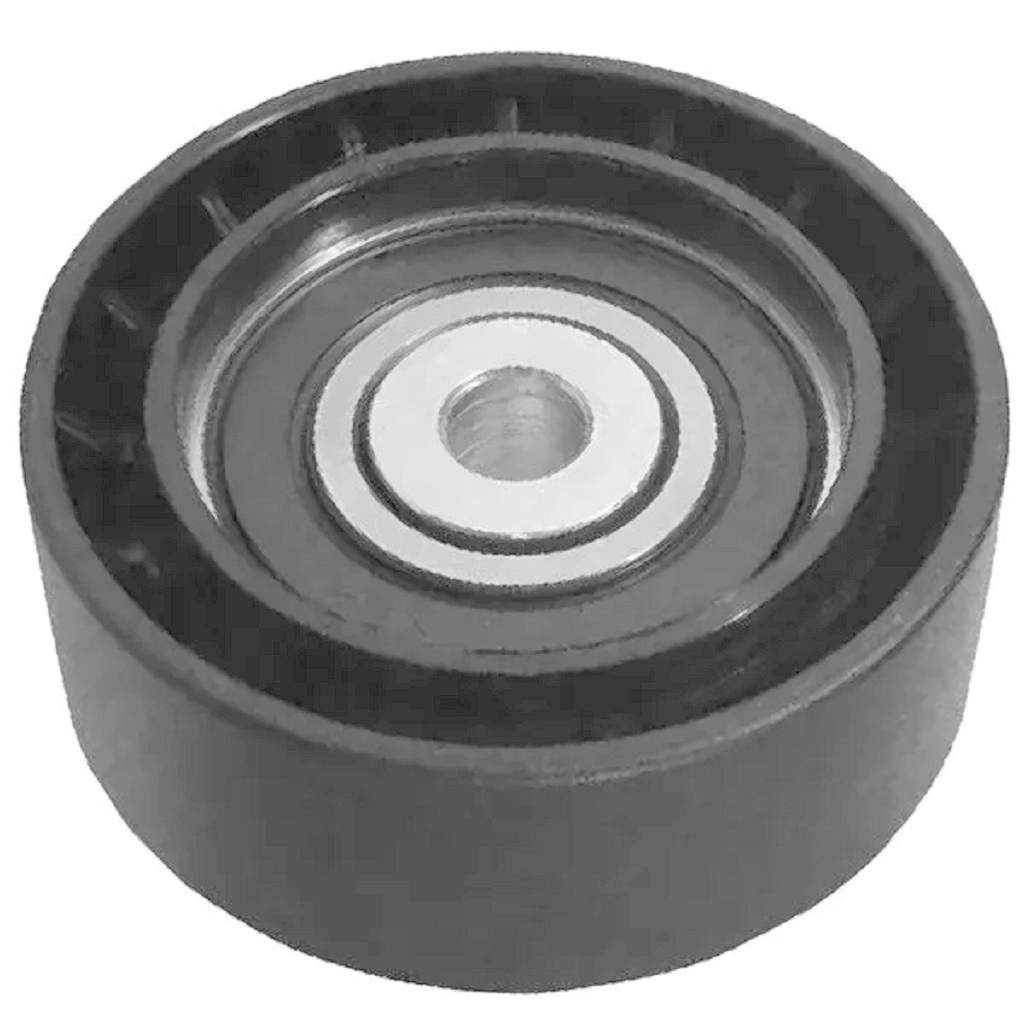 Polia do Alternador Renault Clio/Kangoo/Logan 1998 a 2019 ZEN 12809