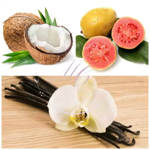 COCO GUAYABA VAINILLA - Comprar en Mamá Celina