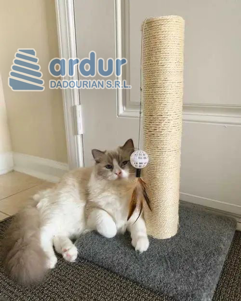 Ardur