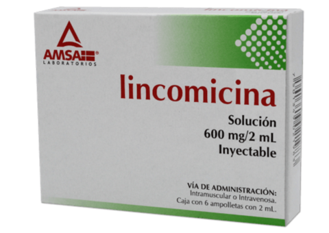 LINCOMICINA 600MG/2ML SOL INY C/6 *ANT* (AMSALINOX)