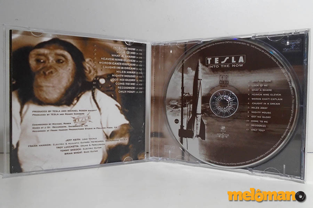 CD Tesla - Into The Now (2003)