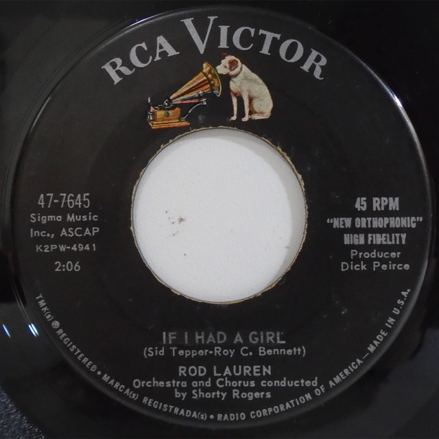 Vinil Rod Lauren Pop