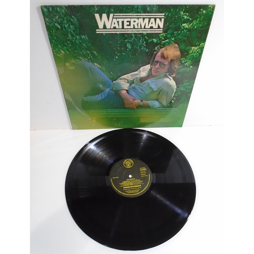 Vinil Dennis Waterman Pop Rock