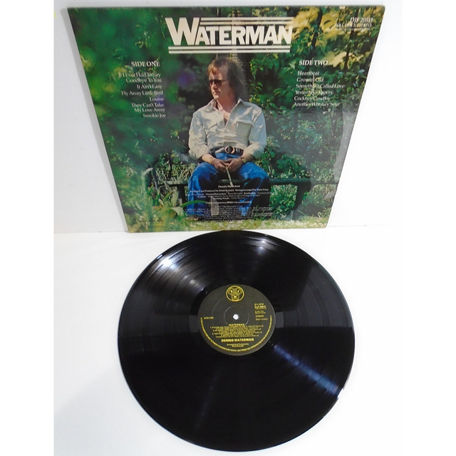 Vinil Dennis Waterman Pop Rock