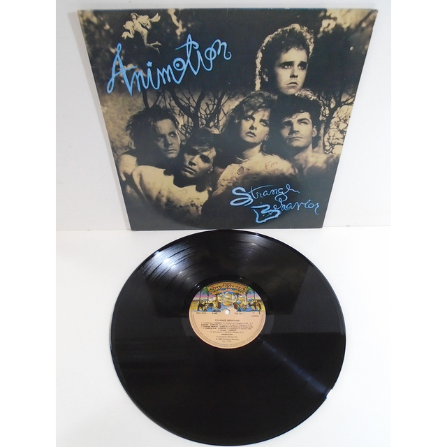 Vinil Animotion Pop