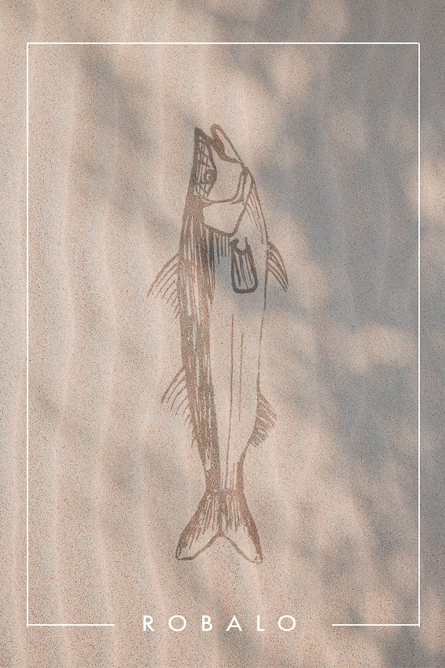 GIFT ROBALO - Comprar em Guria