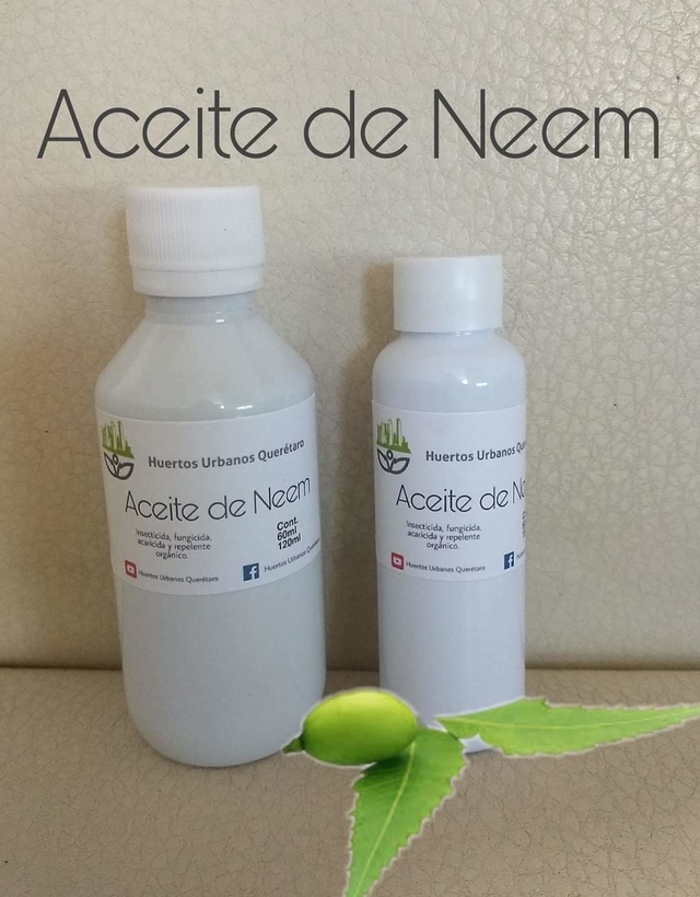 Aceite de neem Extra-Virgen, Prensado en Frío
