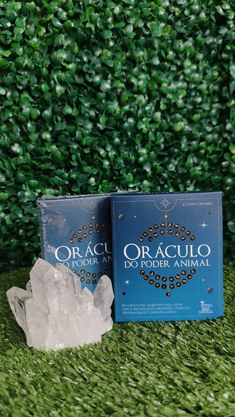 ORÁCULO DO PODER ANIMAL: ARQUÉTIPOS PARA LIDAR COM O INCONSCIENTE ...