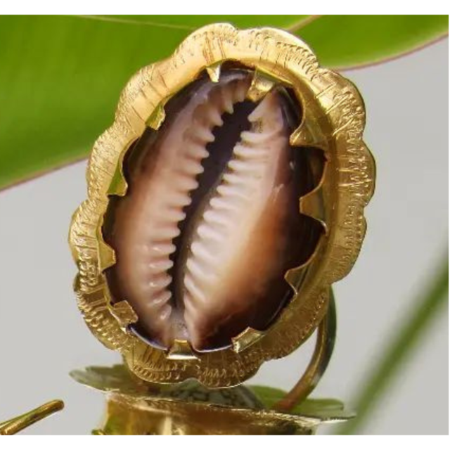 Anel baianidade cravejado em búzio africano Anel baianidade cravejado em búzio africano