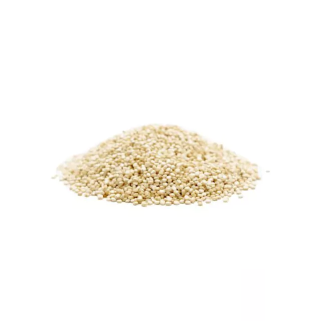 Quinoa Grão Branca - 100g - Nature | Produtos Naturais