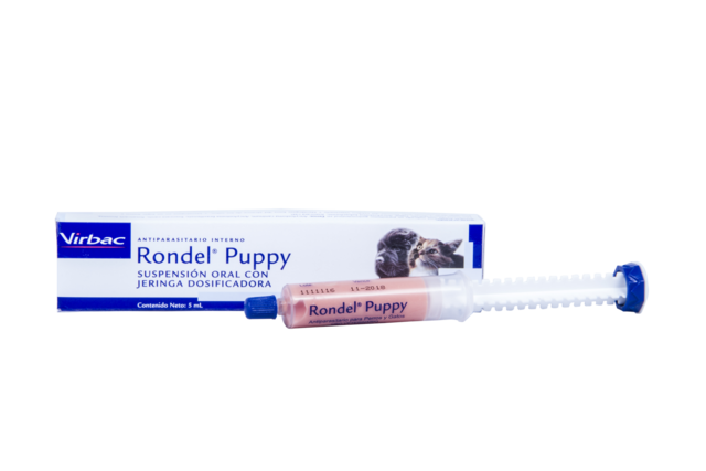 Rondel oral puppy *2ml - Comprar en Bastet pet