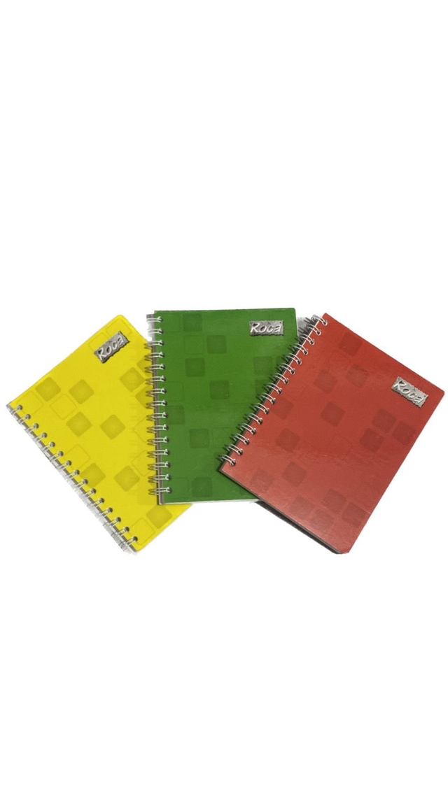 CUADERNO FRANCES DOBLE ESPIRAL ROCA C/100H