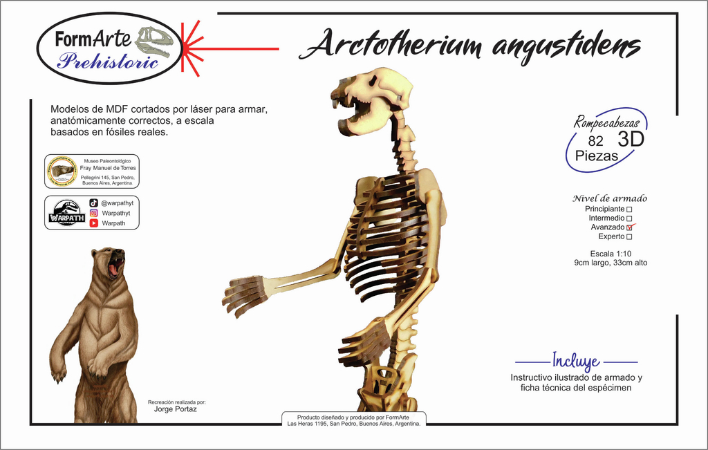 Arctotherium angustidens Escala 1:10