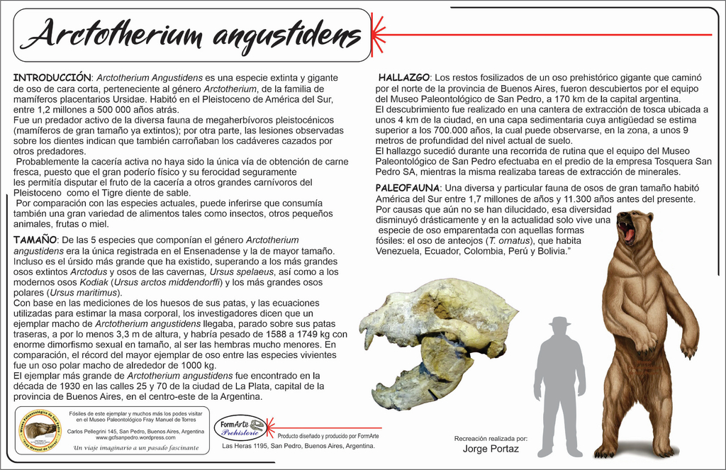 Arctotherium angustidens Escala 1:10