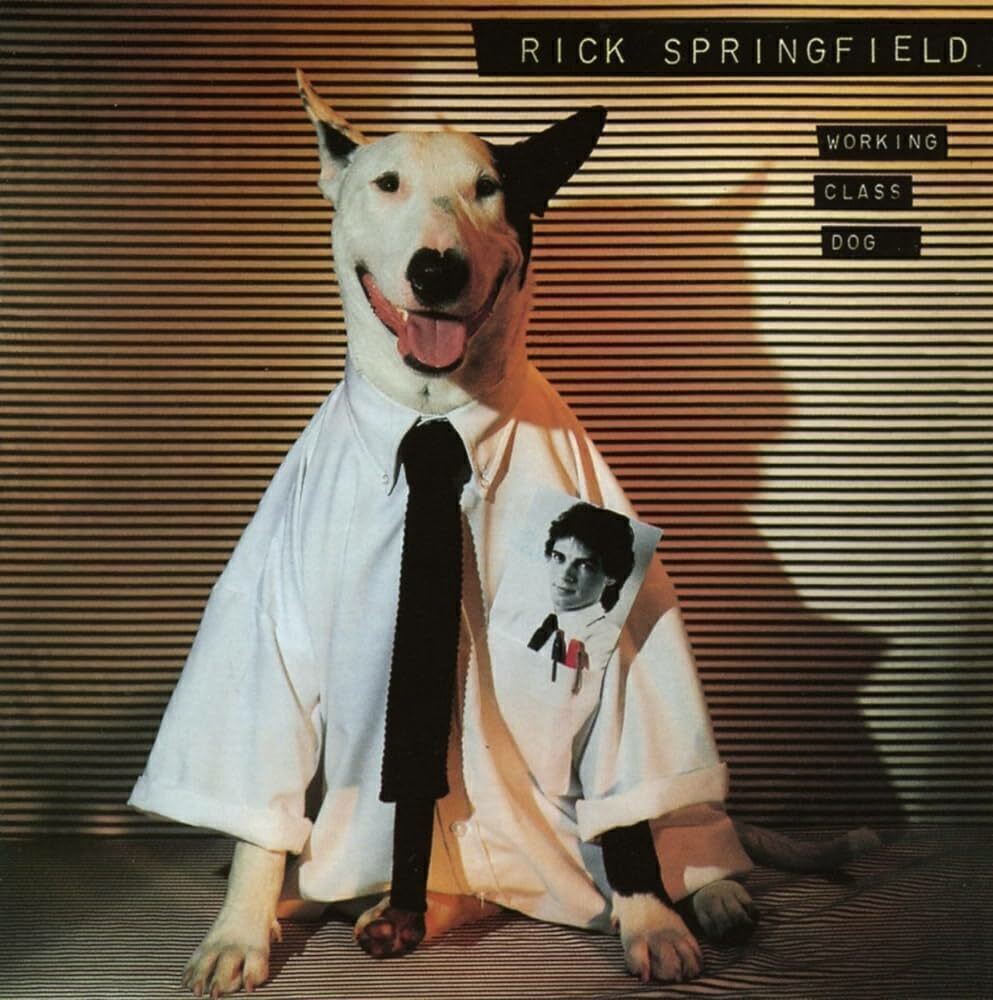 RICK SPRINGFIELD - WORKING CLASS DOG - Animal Records