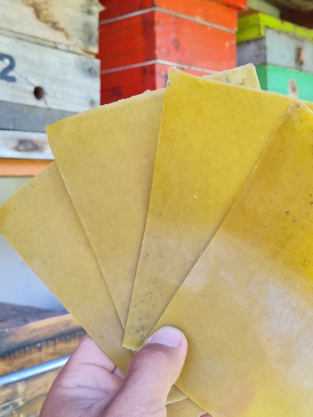 Cera mista para abelhas