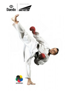 Comprar Karate en Daedo México