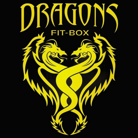Dragons Fit-Box