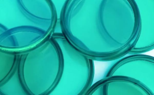 DISCOS INTELIGENTES TRANSLÚCIDO 24mm unidade