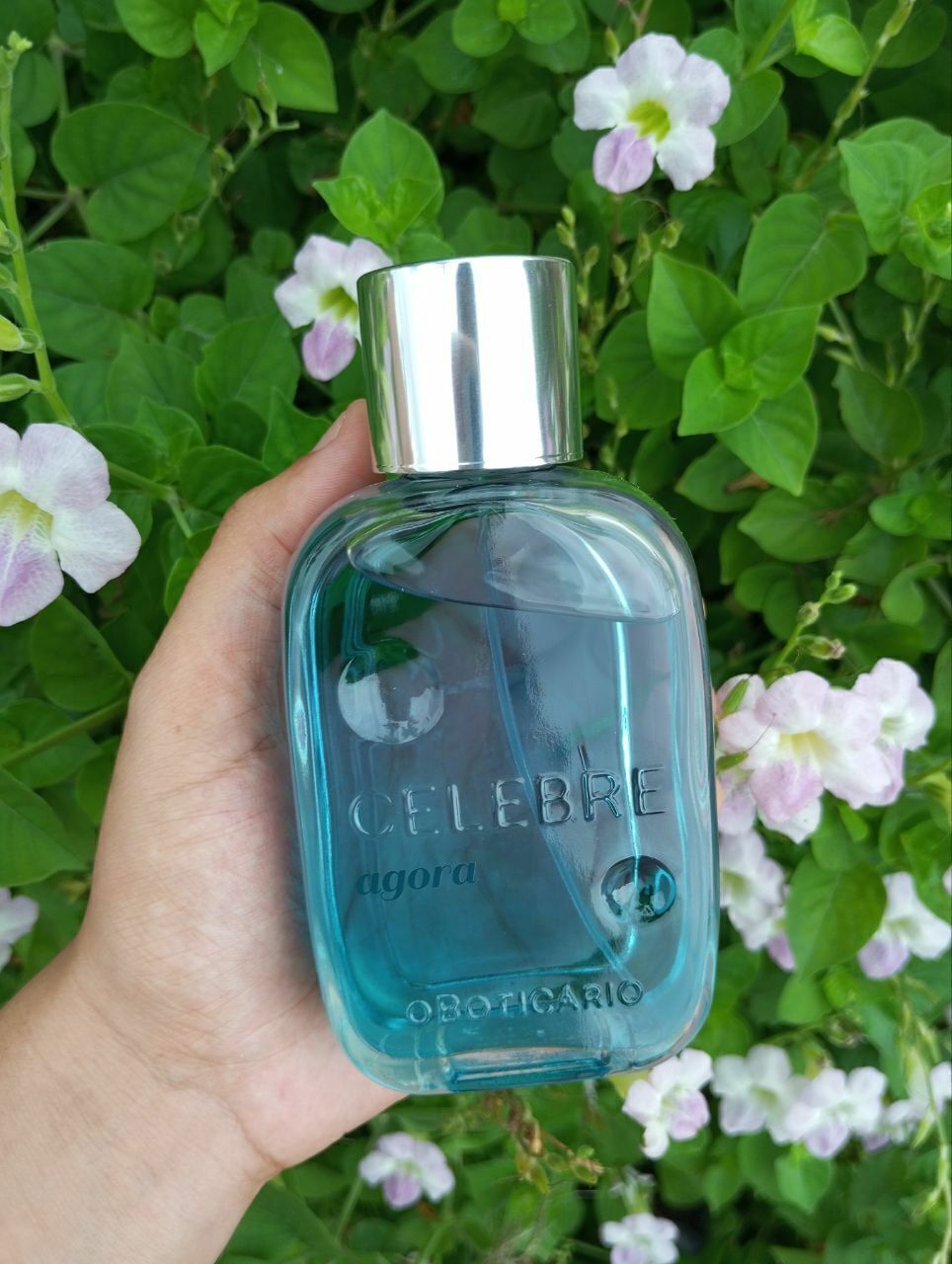 Celebre Agora Masculino Desodorante Colônia 100ml