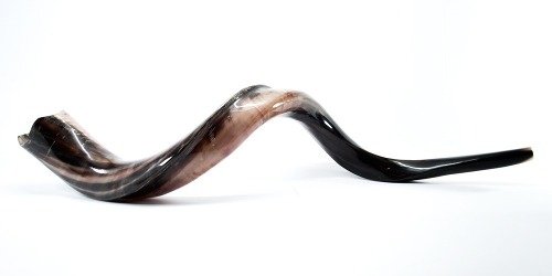 Shofar Large 88 a 95 Cm De Largo - Comprar en hasofrim