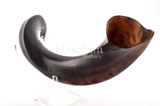 Comprar Shofar en hasofrim