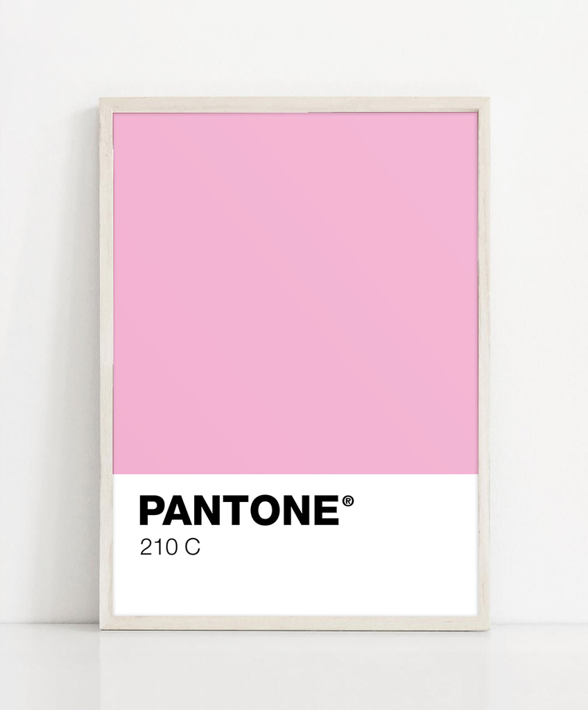 Cuadro Pantone 210 C - Comprar en Marnie Arte