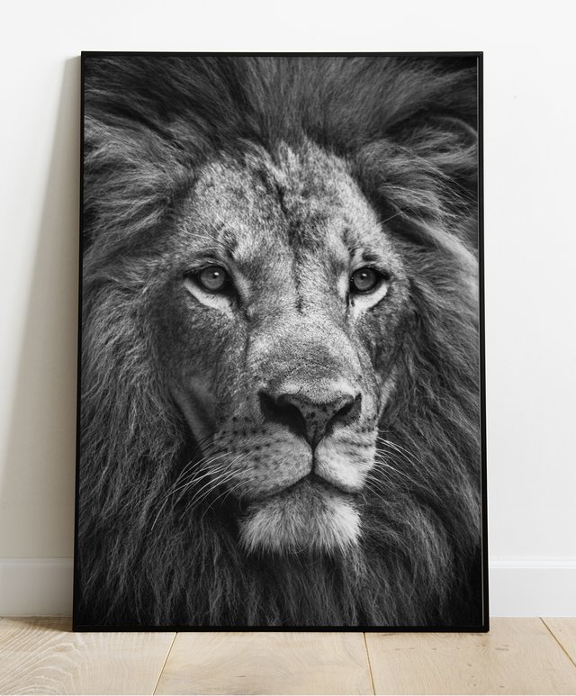 Cuadro Leon B&W - Comprar en Marnie Arte