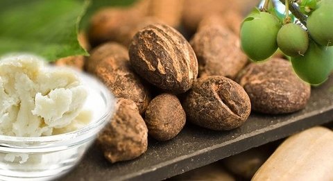 Manteca de Karité - Comprar en Cosmética Verde