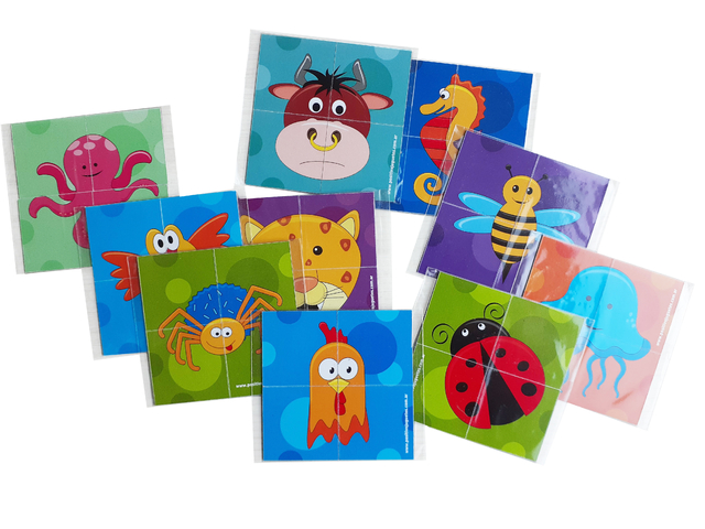 Rompecabezas Souvenirs Imantado 4 Piezas