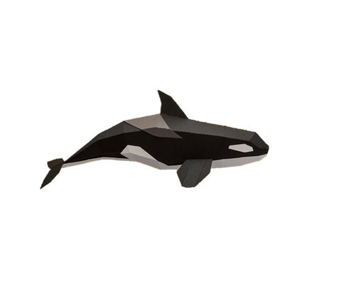 Orca Tipo Origami Papercraft Papel 3d Armar Guardabosques