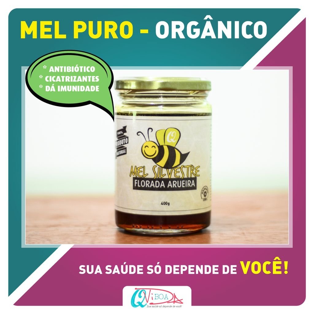 MEL PURO - ORGÂNICO 100% NATURAL - Q vida Boa
