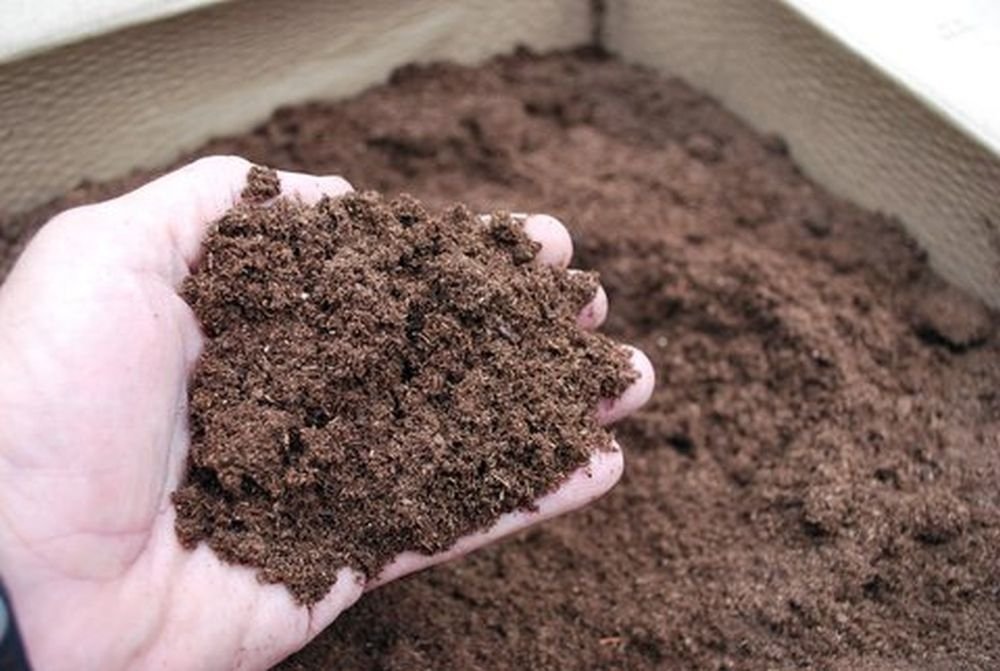 FSMIX#5 TURFA PURA SUNSHINE MIX 20 LITROS - flordosul