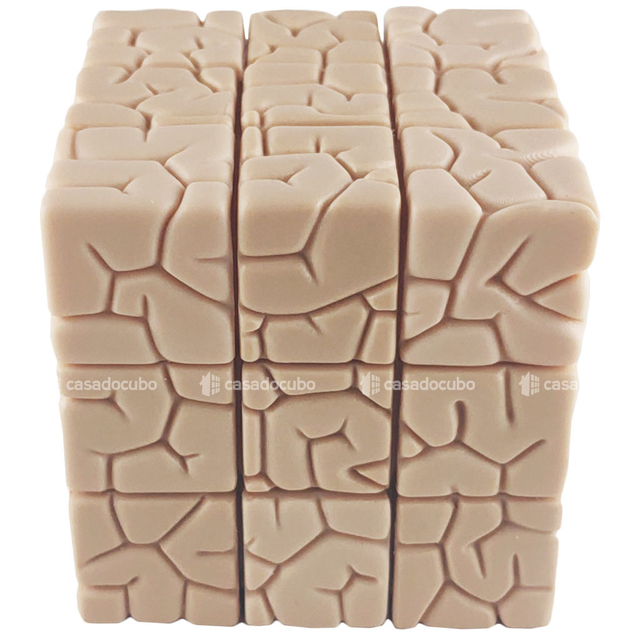 Cubo Mágico 3x3x3 Cérebro Textura 3D The Brain Cube in Bottle