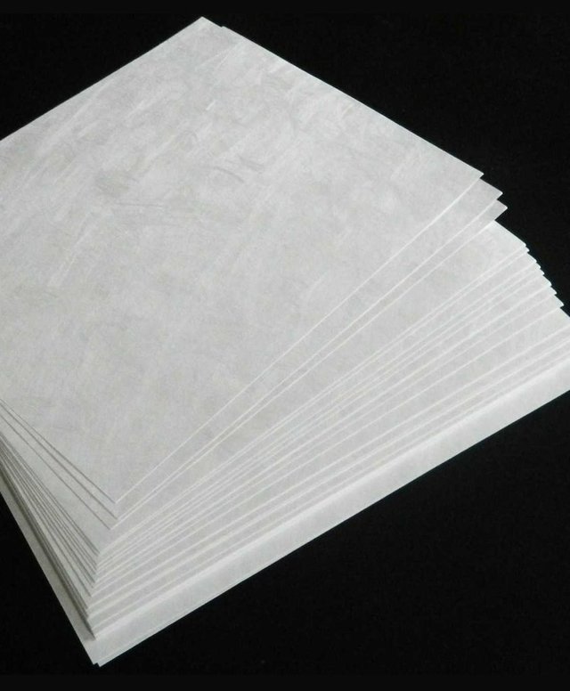 Tyvek Papel - Comprar en GAMI