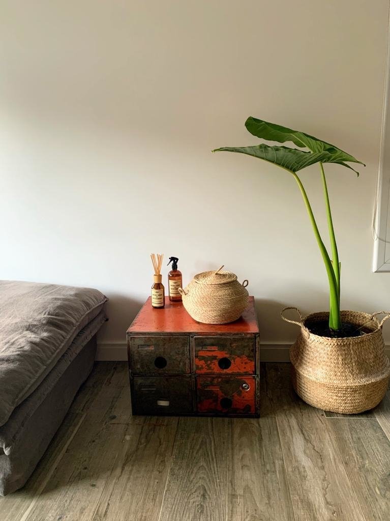 Anfora - Comprar en Mercado de Sentidos