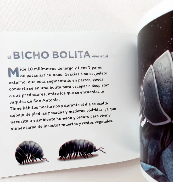 EL BICHO BOLITA Y OTROS ANIMALES DEL JARDIN