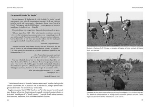 Libro: El Ñandú (Rhea americana)