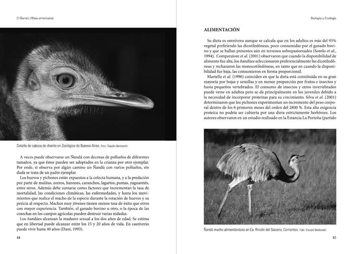 Libro: El Ñandú (Rhea americana)