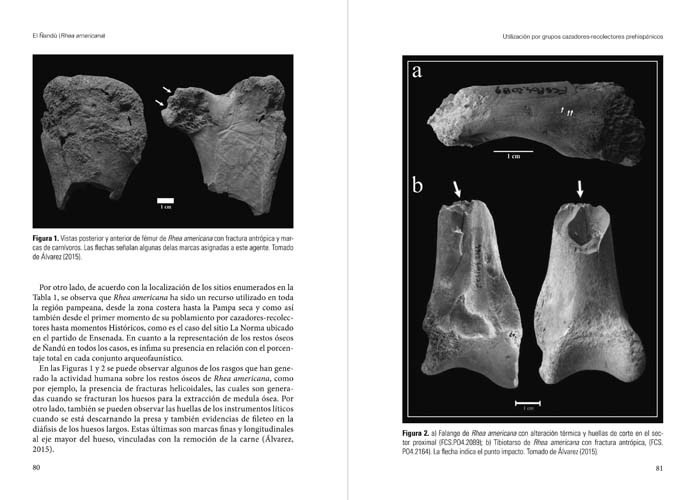Libro: El Ñandú (Rhea americana)