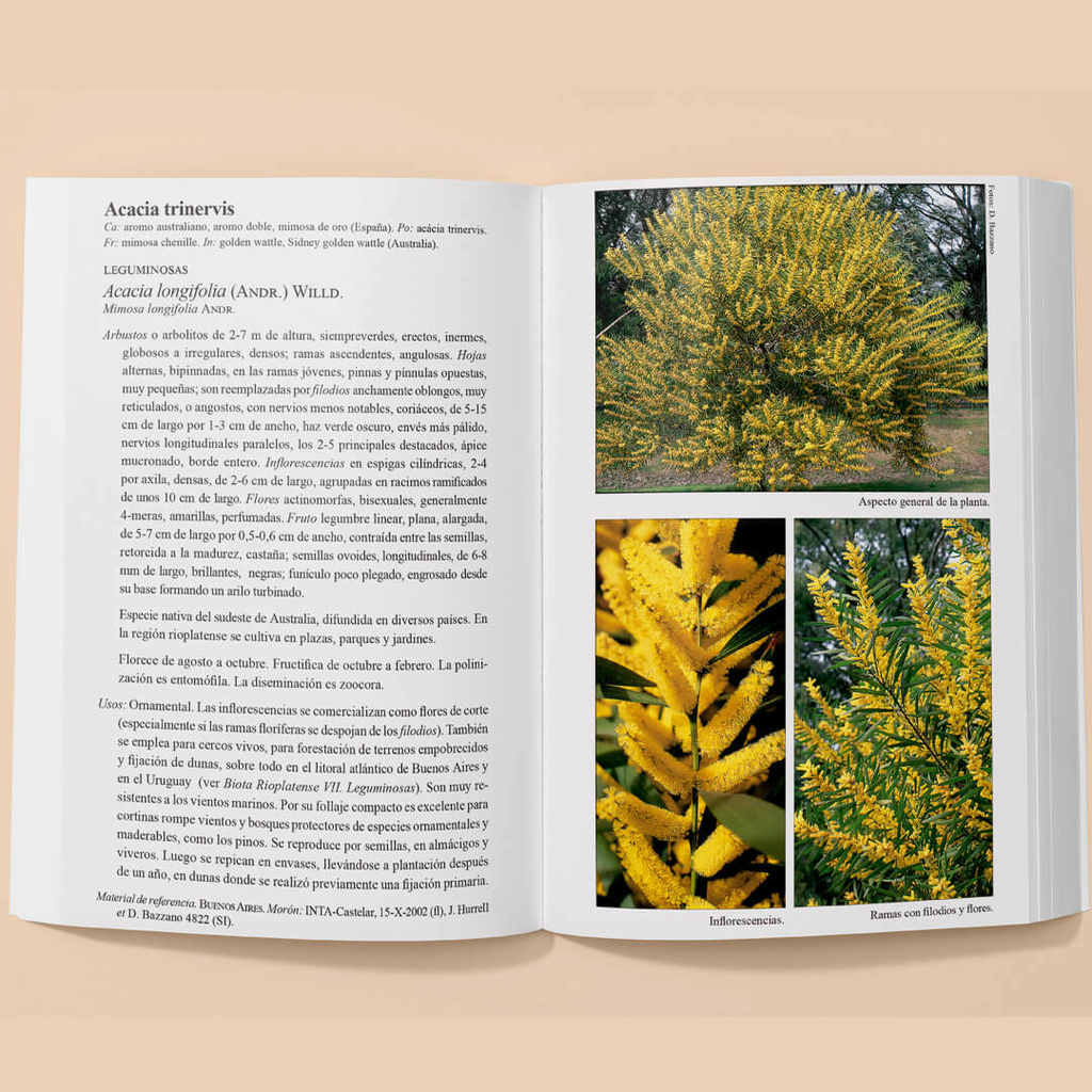 Biota Rioplatense: Arbustos 2. Nativos Y Exóticos