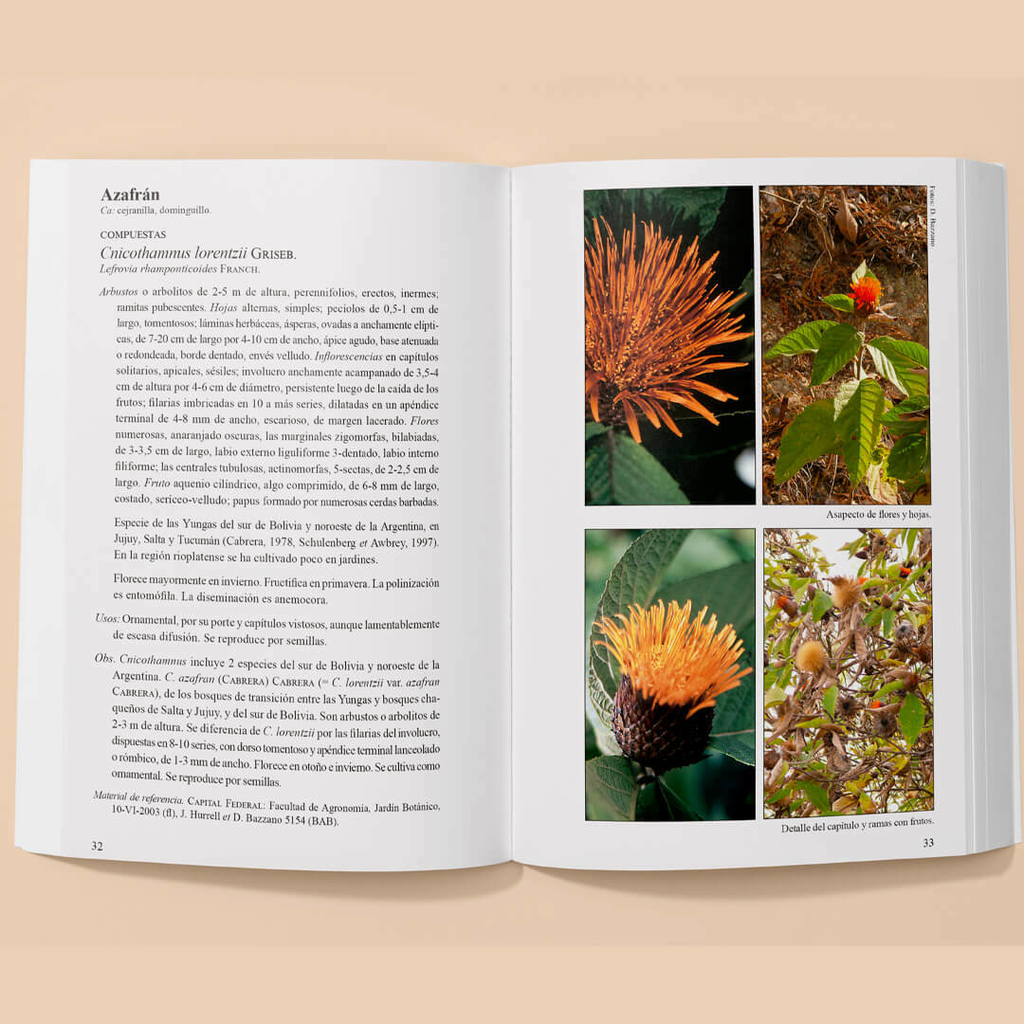 Biota Rioplatense: Arbustos 2. Nativos Y Exóticos